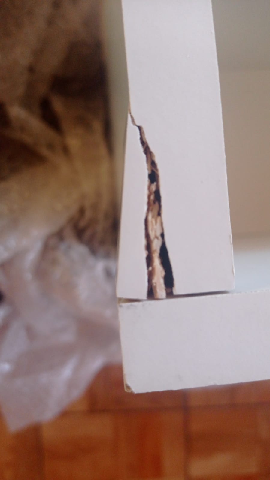 Starken - Mueble En Mal Estado - No Resuelto | RECLAMOS.CL